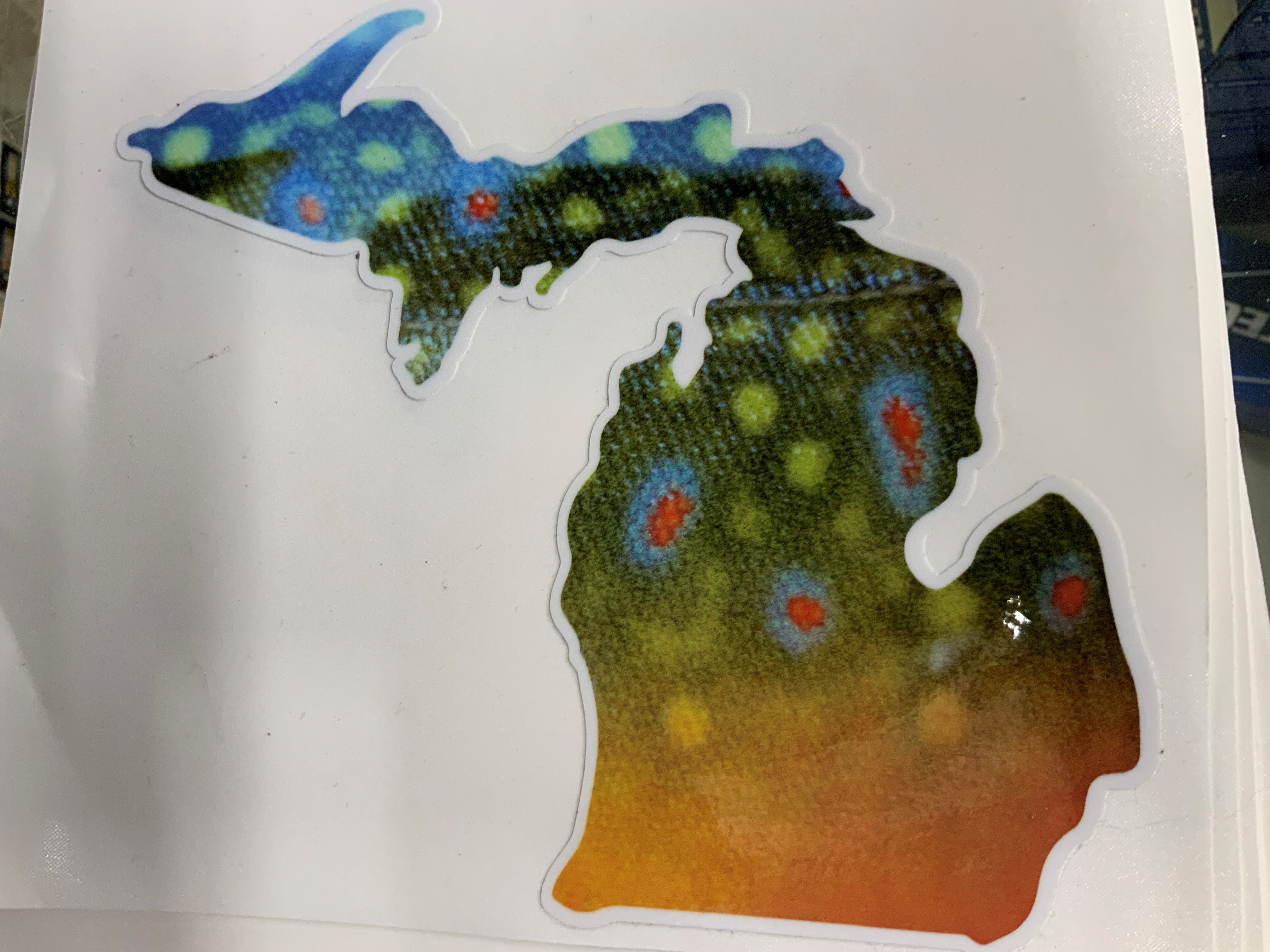 Michigan Brook Trout Sticker – Tangled Tackle Co.